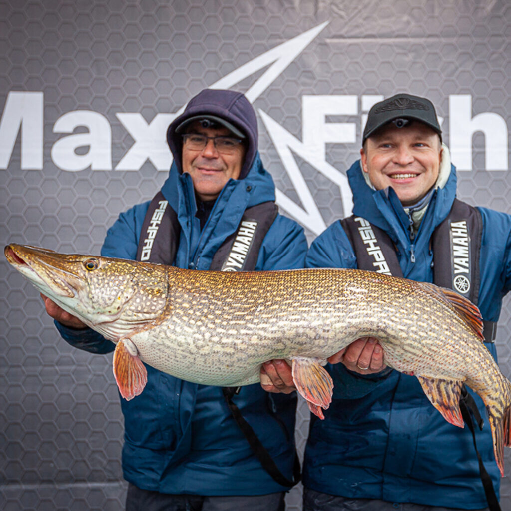 Geko - FRAPP Fishing. Официальный сайт